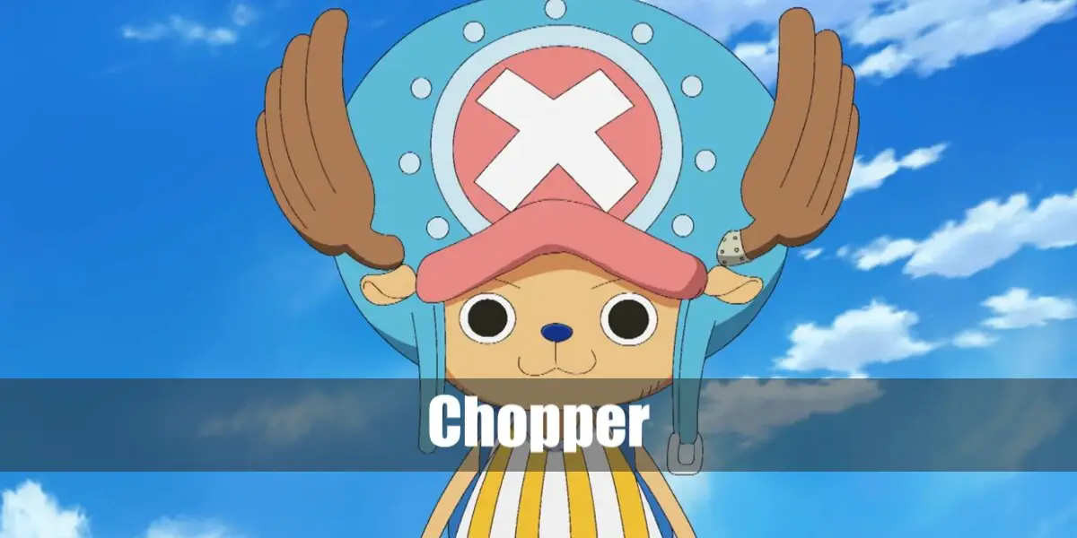 Chopper's Costume from One Piece for Halloween