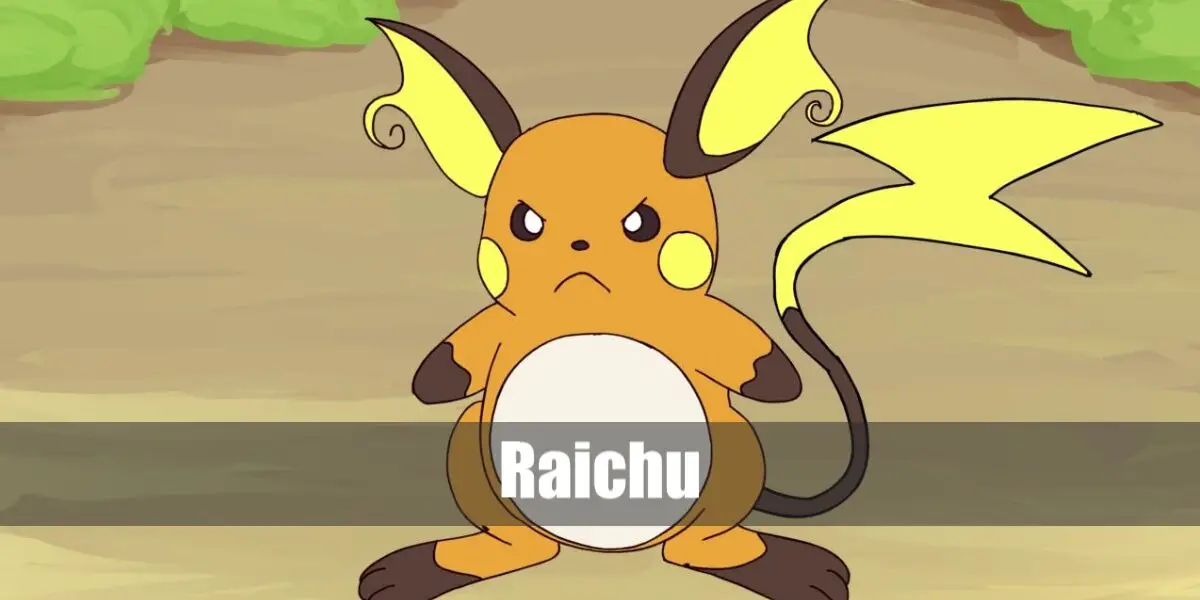 Raichu's Costume from Pokémon for Halloween