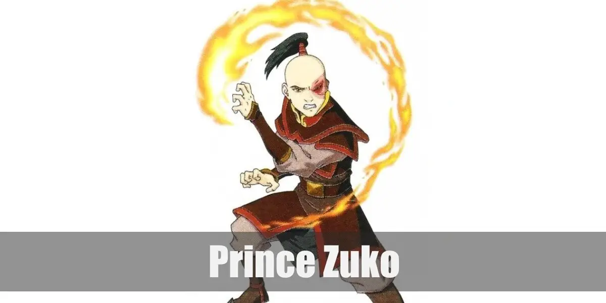 Prince Zuko (Avatar The Last Airbender) Costume for Halloween