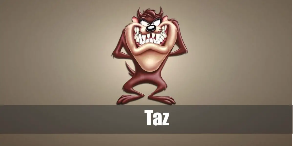 Taz / Tasmanian Devil Costume from Looney Tunes for Halloween