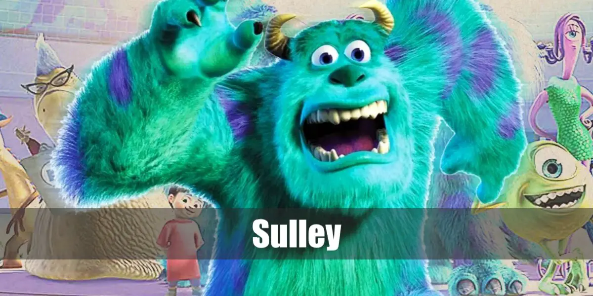 Sulley Costume from Monsters, Inc. for Halloween