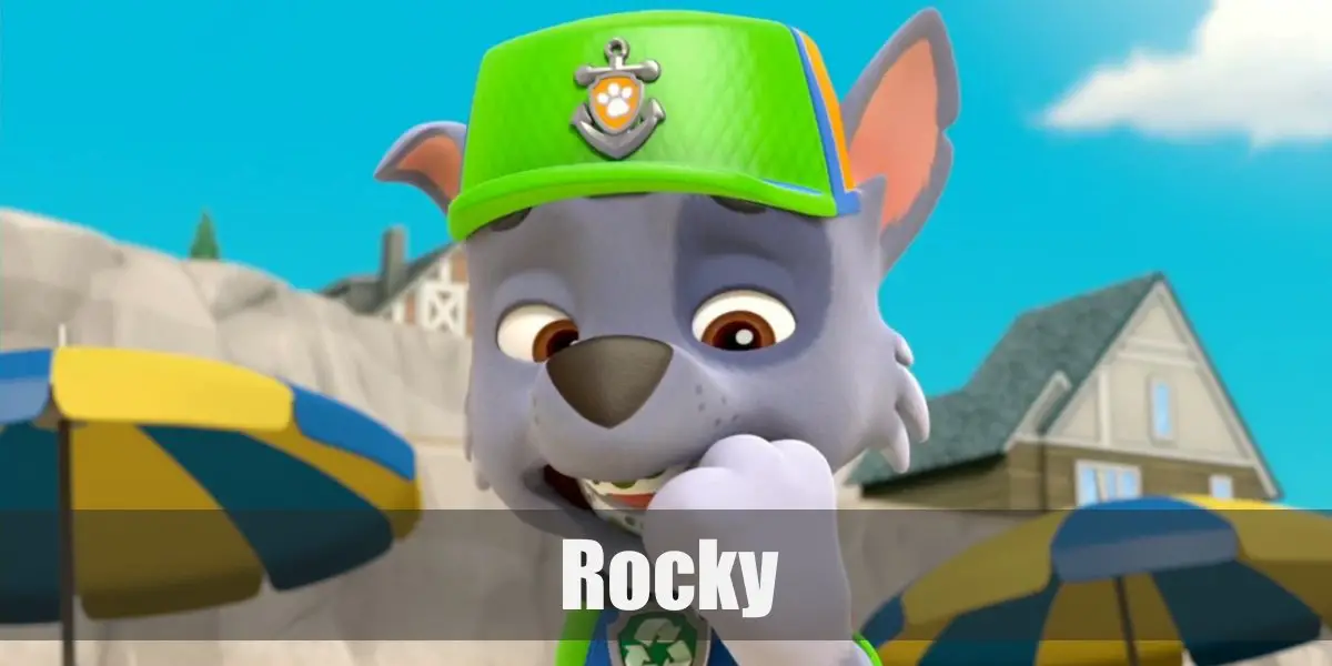 Rocky (Paw Patrol) Costume for Halloween