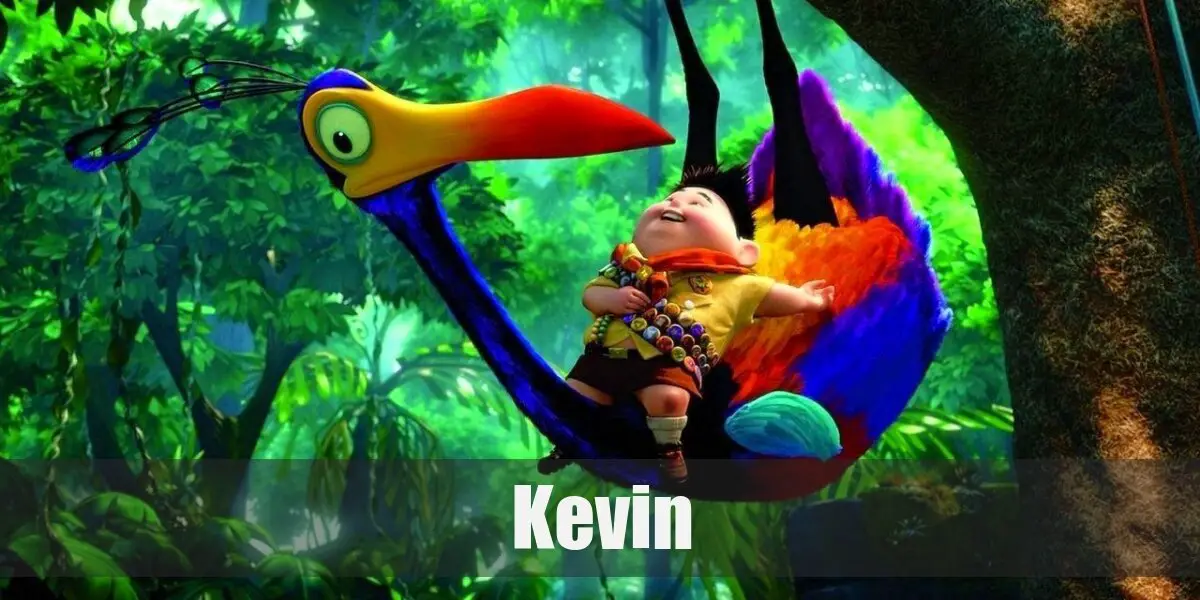 Up Kevin Wallpaper