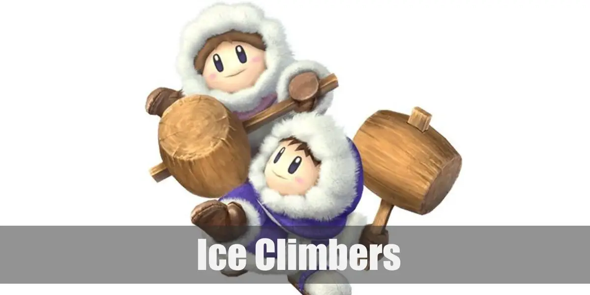 Popo and Nana's Costume from Ice Climber for Halloween