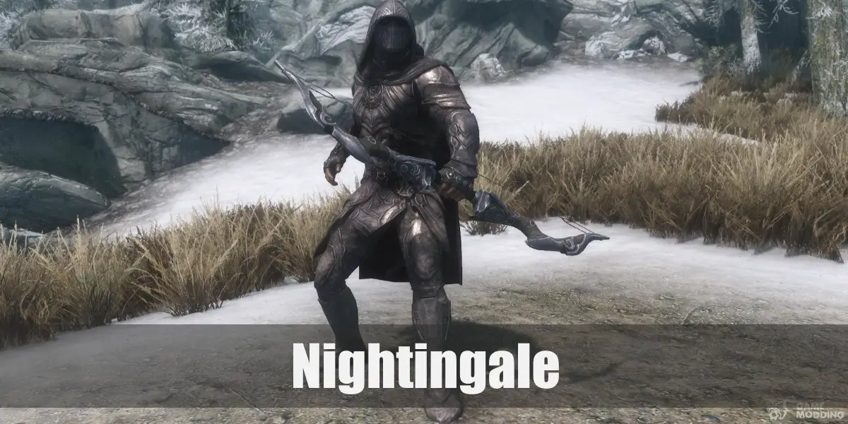 Nightingale (Skyrim) Costume for Halloween