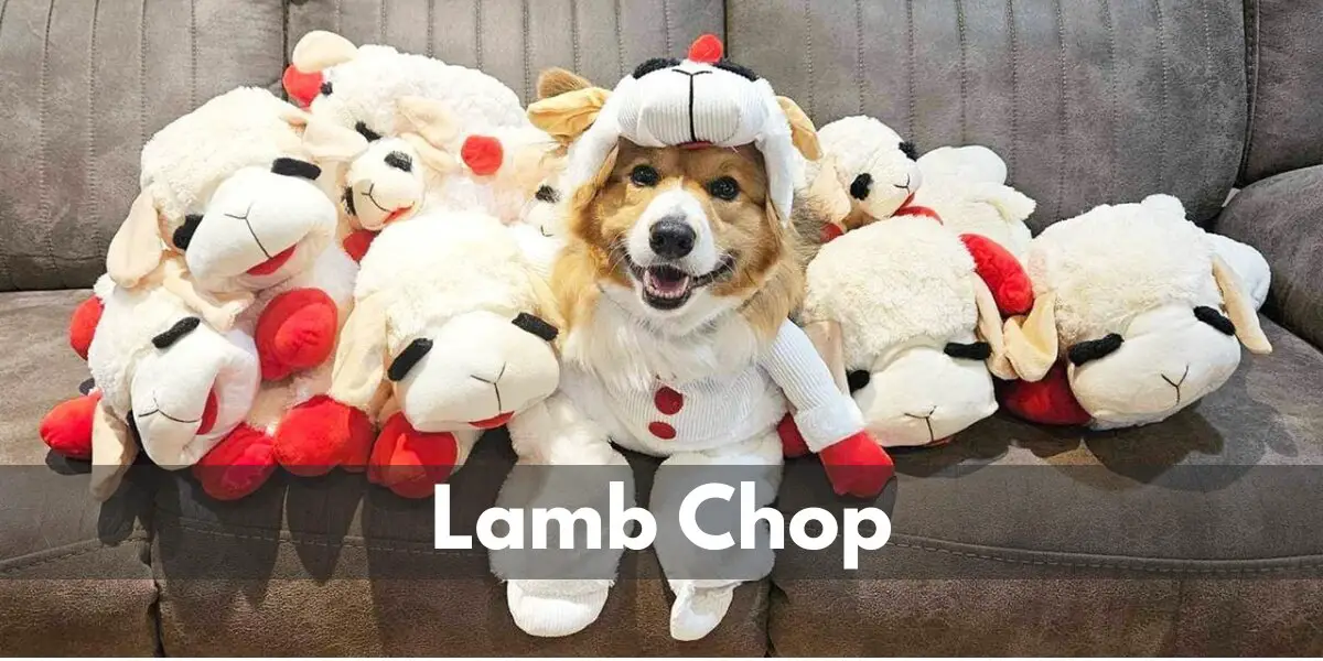 Shari Lewis' Lamb Chop Costume for Halloween