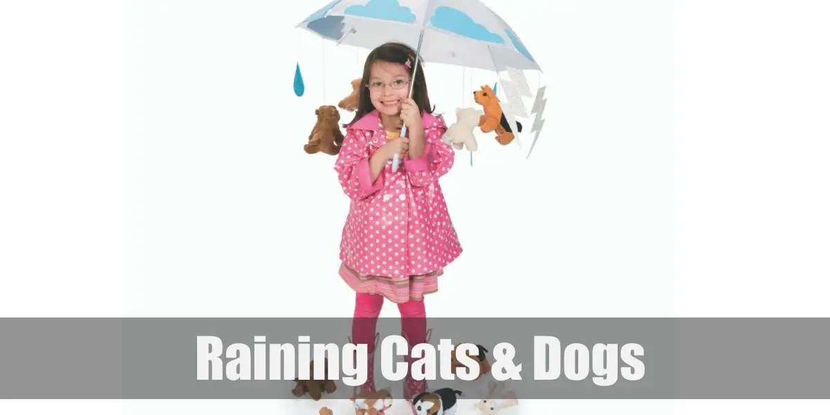 Raining Cats and Dogs Costume for Halloween