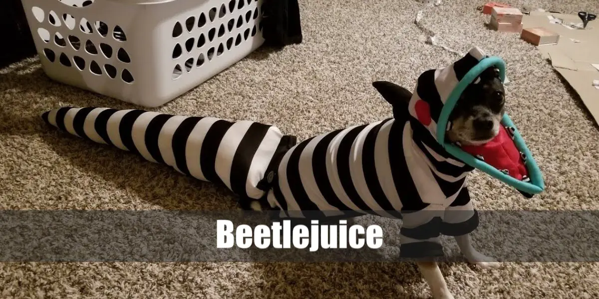 Sandworm's Costume from Beetlejuice for Halloween