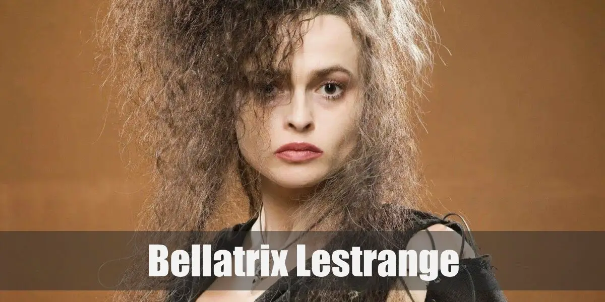 Bellatrix Lestrange (Harry Potter) Costume for Halloween