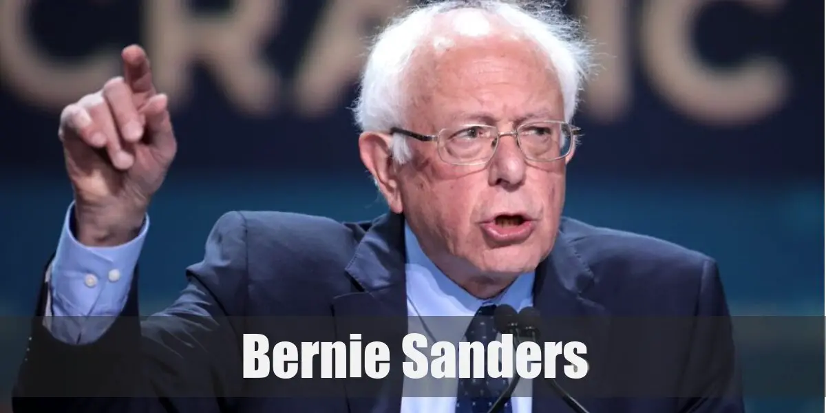 Bernie Sanders Costume for Halloween