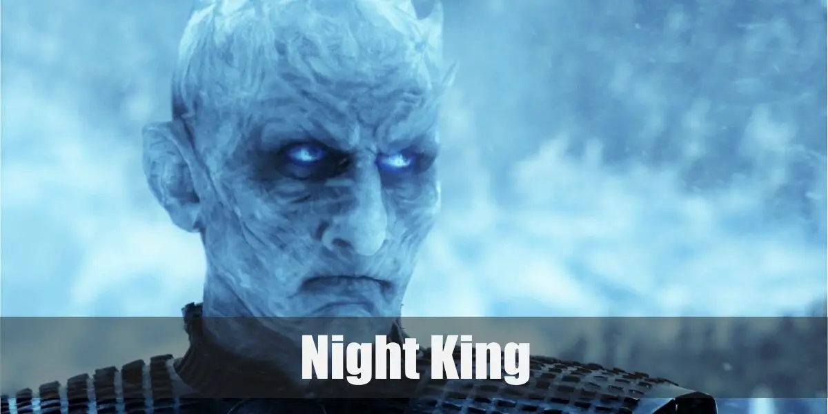 Night King (Game of Thrones) Costume for Halloween