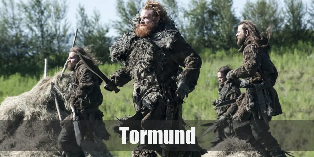 Tormund (Game of Thrones) Costume for Halloween
